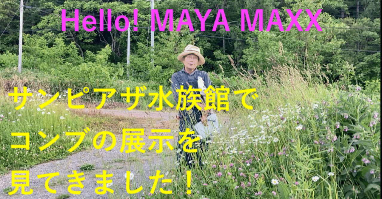 Hello ! MAYA MAXX_元気が出るひとこと サンピアザ水族館でコンブの展示を見てきました！｜MAYA MAXXのplaypray