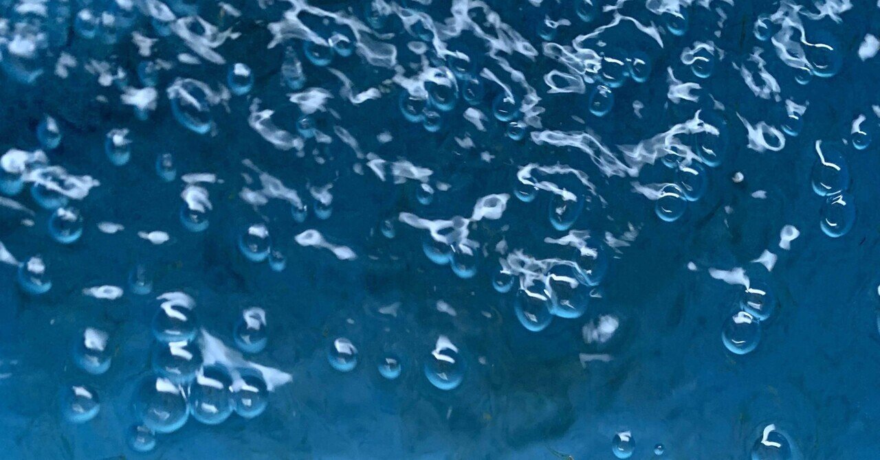 錦鯉ができるまで #1｜廣瀨 翔｜Sho Hirose