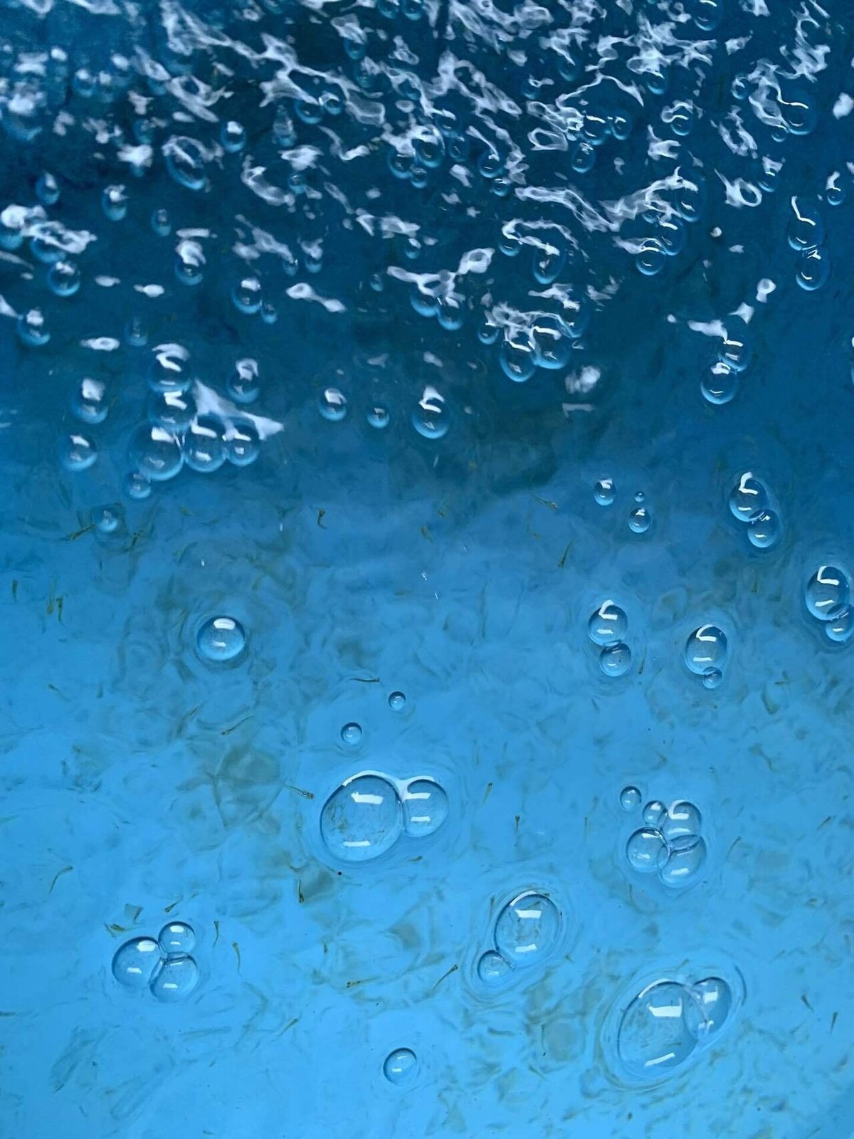 錦鯉ができるまで #1｜廣瀨 翔｜Sho Hirose