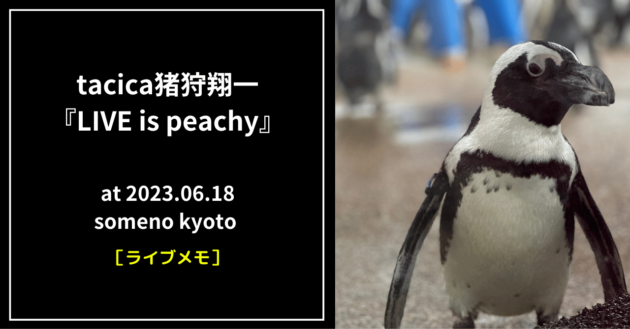 【ライブメモ】tacica猪狩翔一『LIVE is peachy』 at 2023.06.18 someno kyoto ｜snview