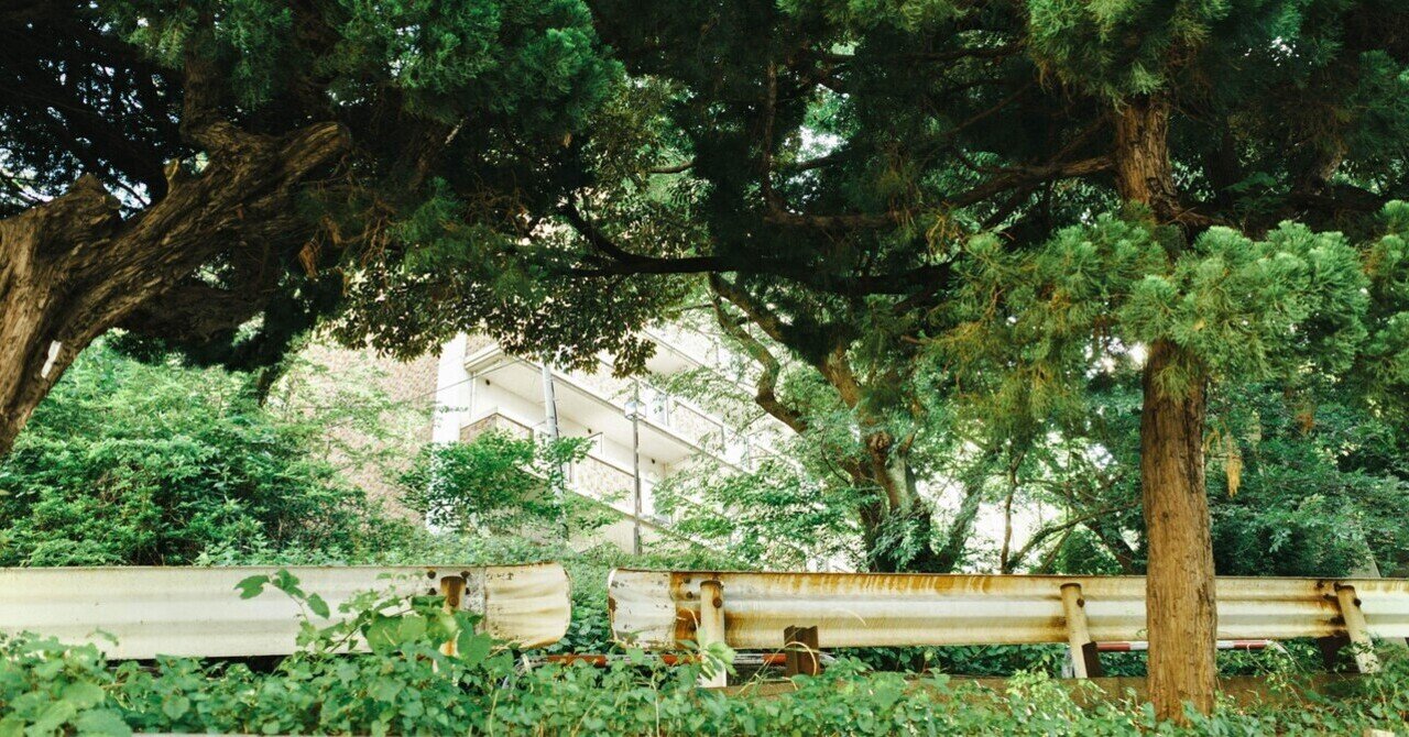 6月も折り返して｜Kohei Ando a.k.a. MELRAW