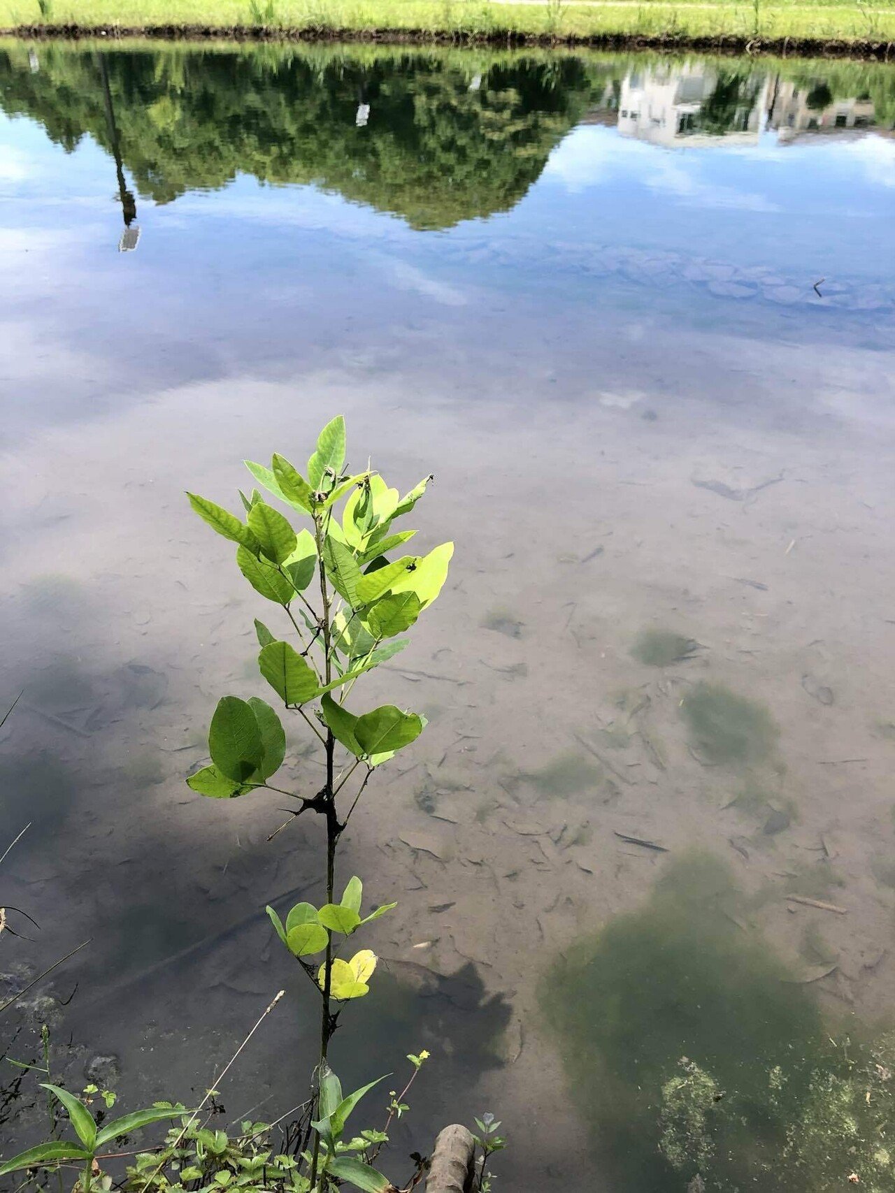 いい雰囲気で撮れました｜team_ueno