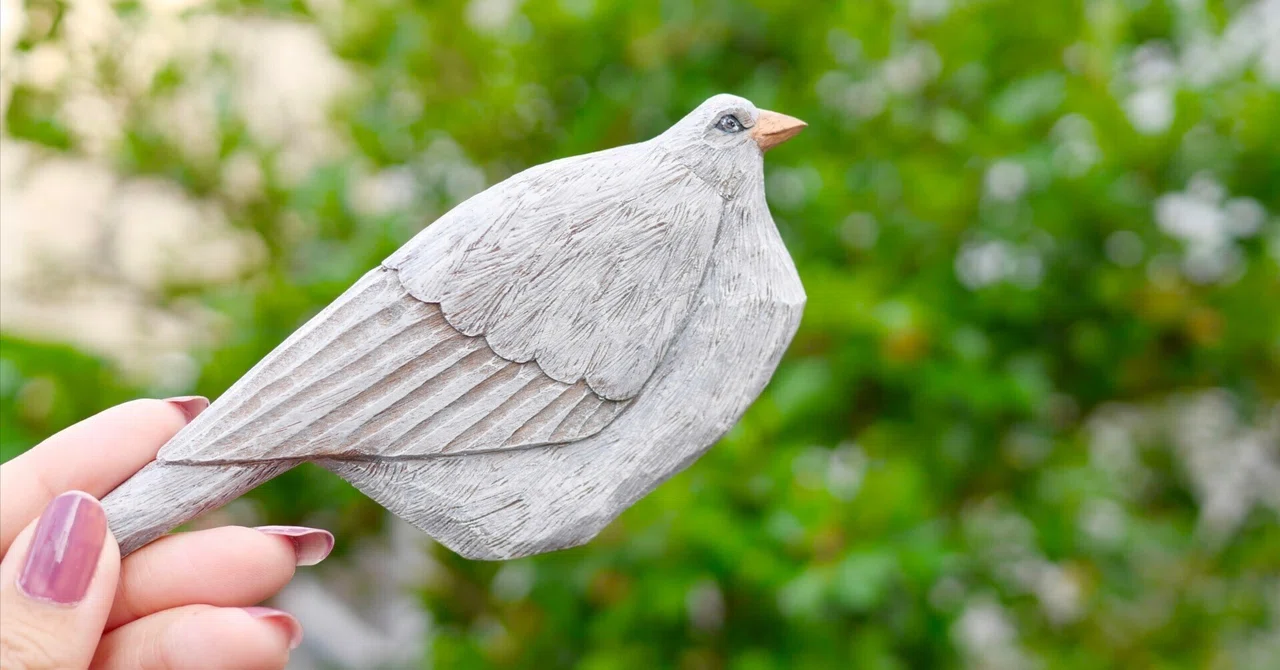 kitonaちゃんのイベントに行ってきたよ🌳2023年6月21日｜自問自答あきやの日記🦫
