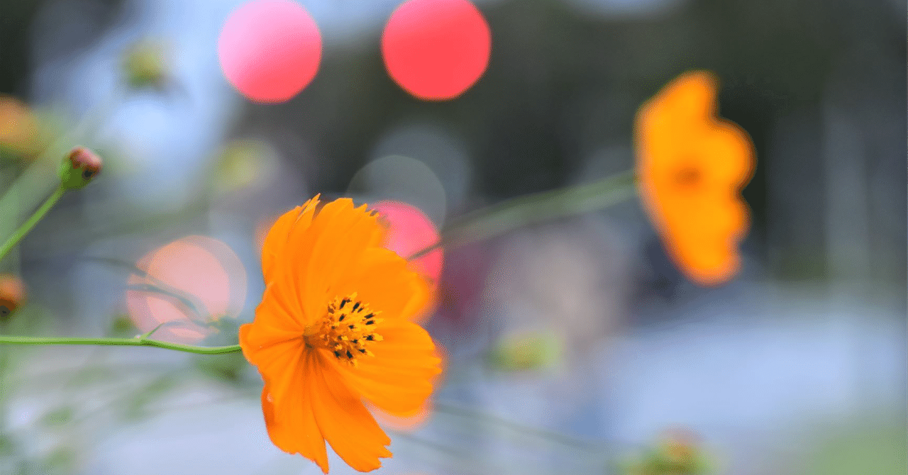 PayPay なんて、使わなきゃいいだけよ｜Yoshi