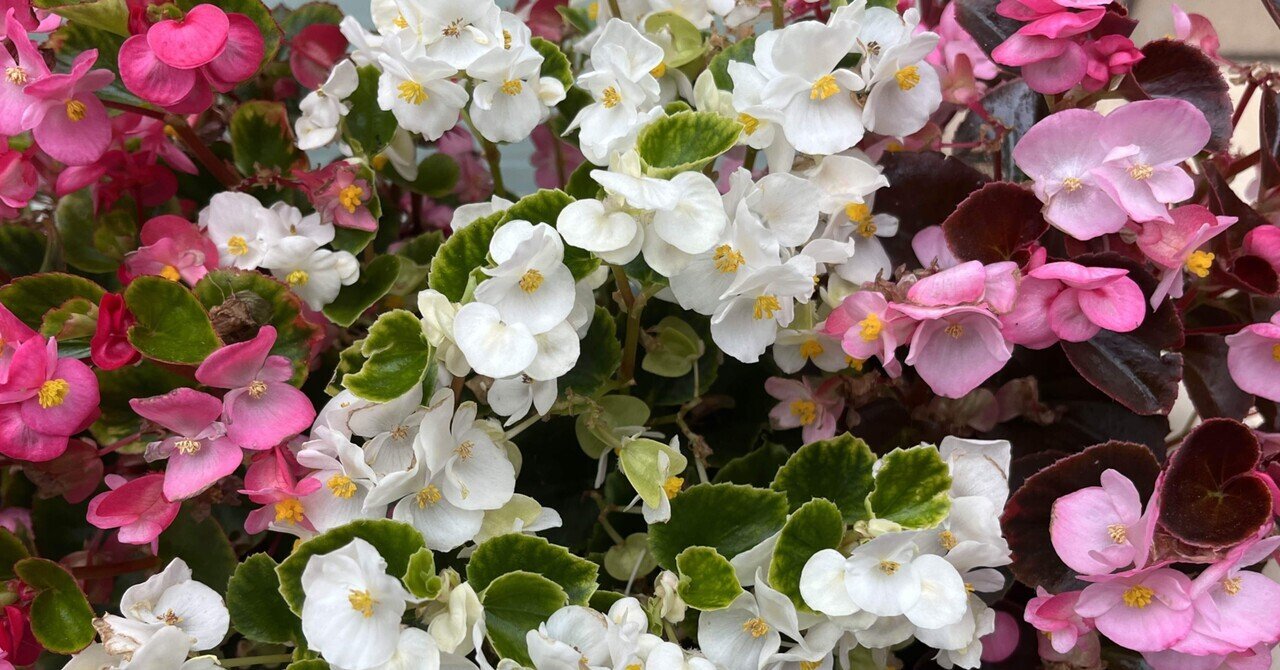 注意してほしい話｜prankish/Tomo