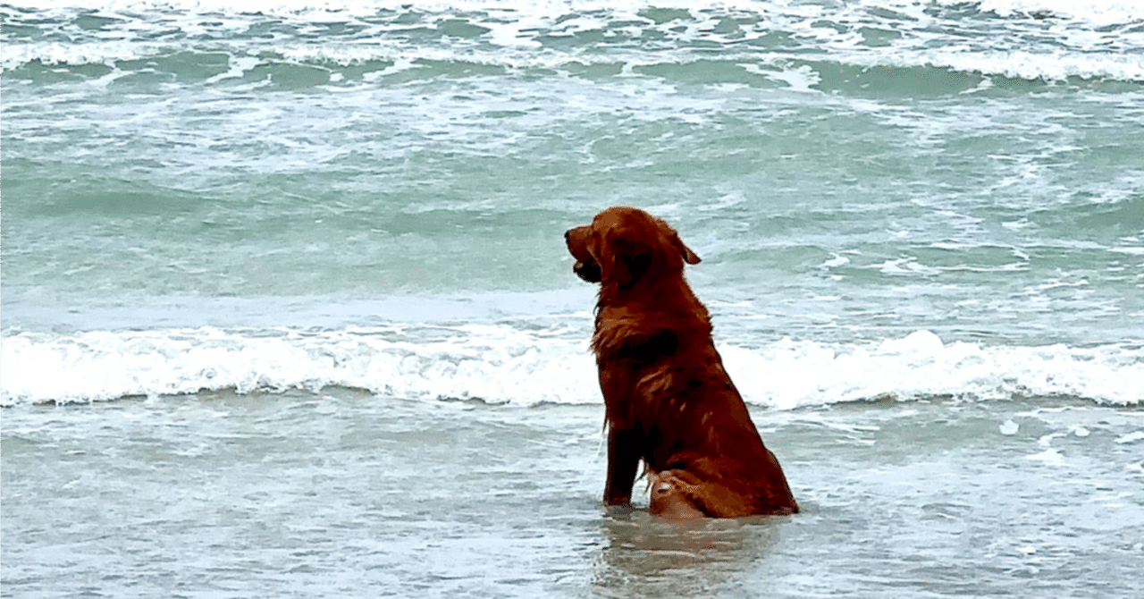 ネガティブな感情｜高梨陽一郎
