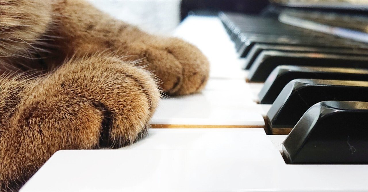 2023発表会、開催決定｜YUKI_PIANO｜Lesson＆Cat