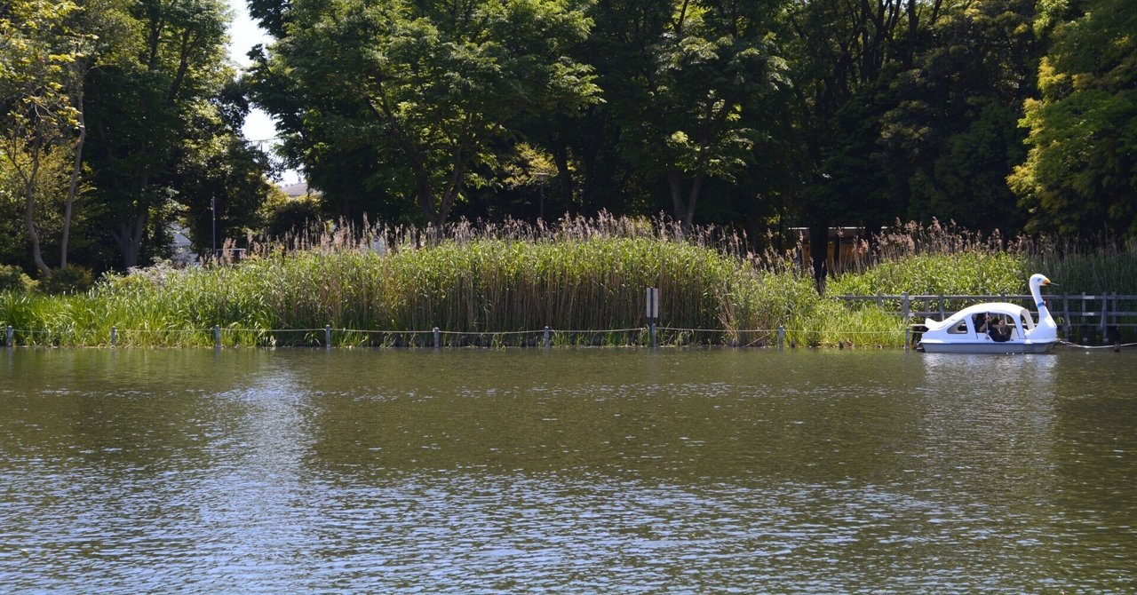 Daichi Okamoto｜note