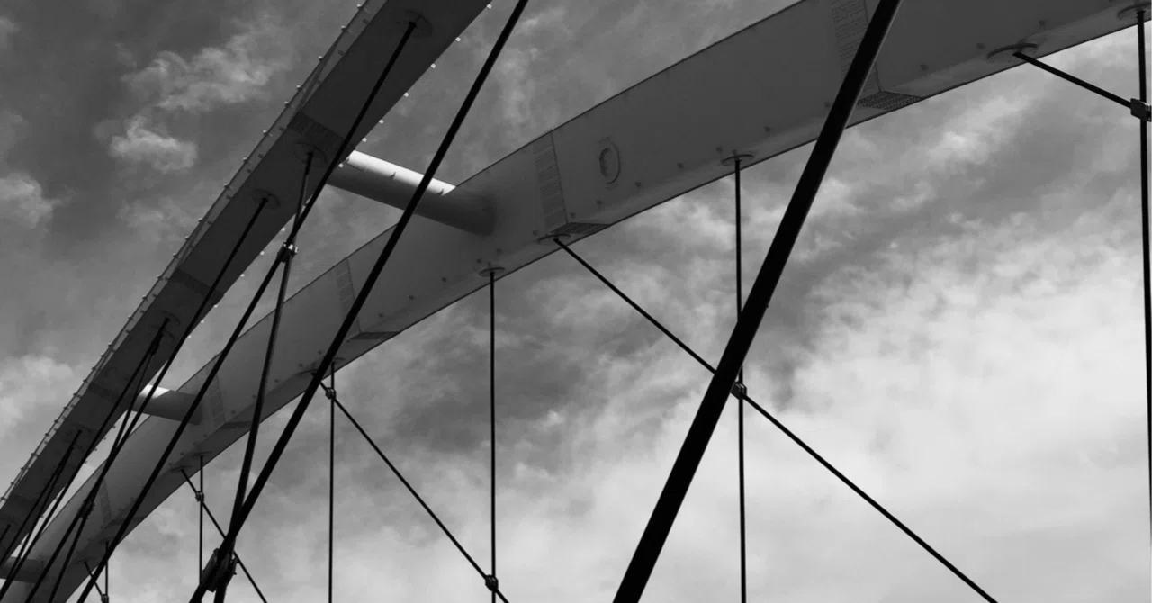 The Synergy of Divergent Disciplines: Social Scientists in the Patent ...
