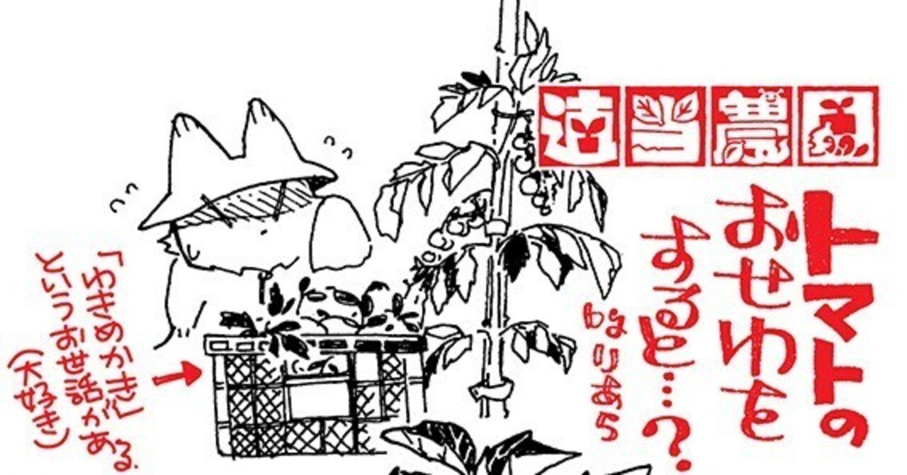 【家庭菜園漫画・適当農園】(9)トマトのお世話をすると?|りあら移住9年生!