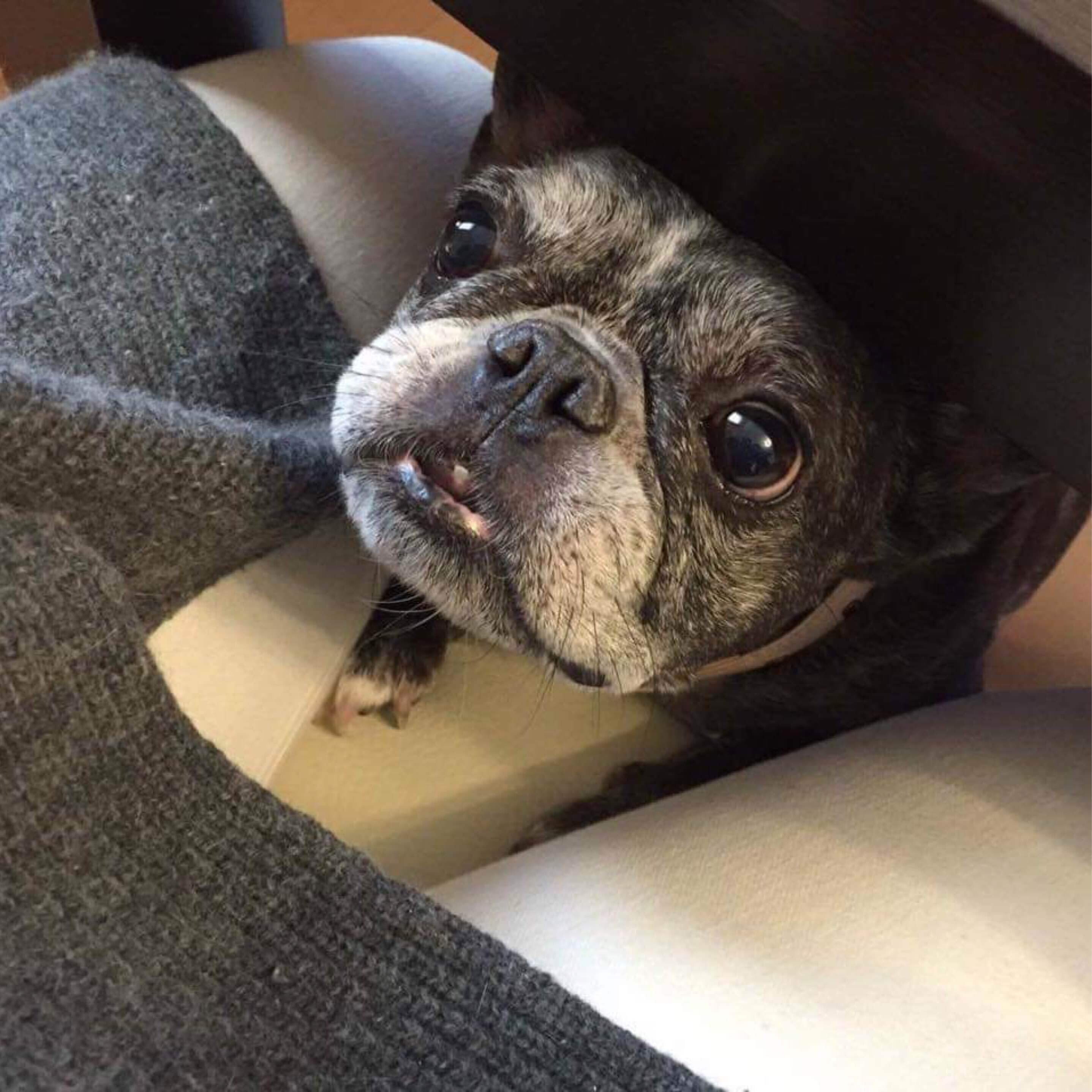 これだけ巷にTOEIC スコアアップ法が溢れているのにコーチングって必要？｜Maki アラフィフ英語・48歳でTOEIC940