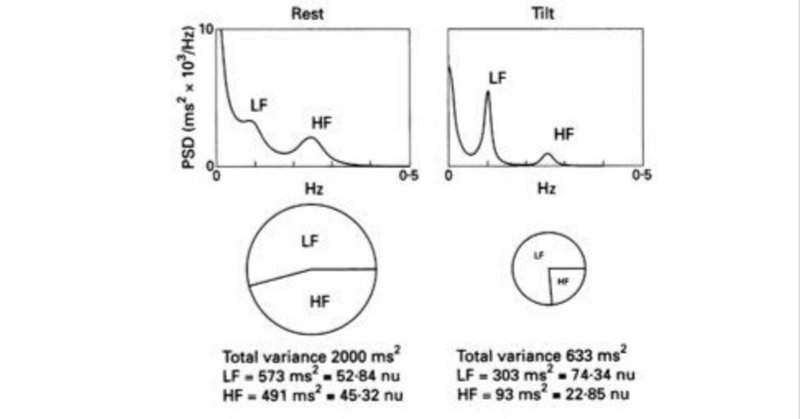 心拍変動：LFまたはHFの絶対値とは？｜脳科学リサーチ【オフィスワンダリングマインド】