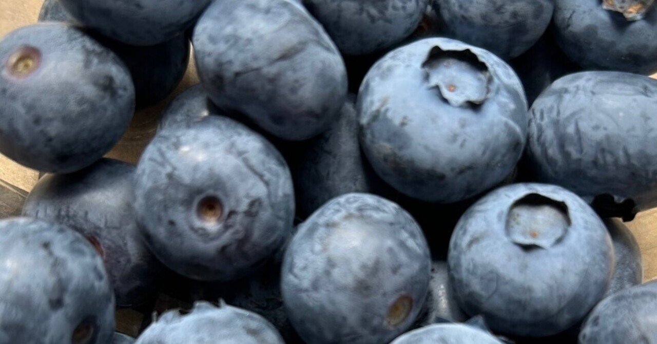 ブルーベリー🫐｜satomo_31/24