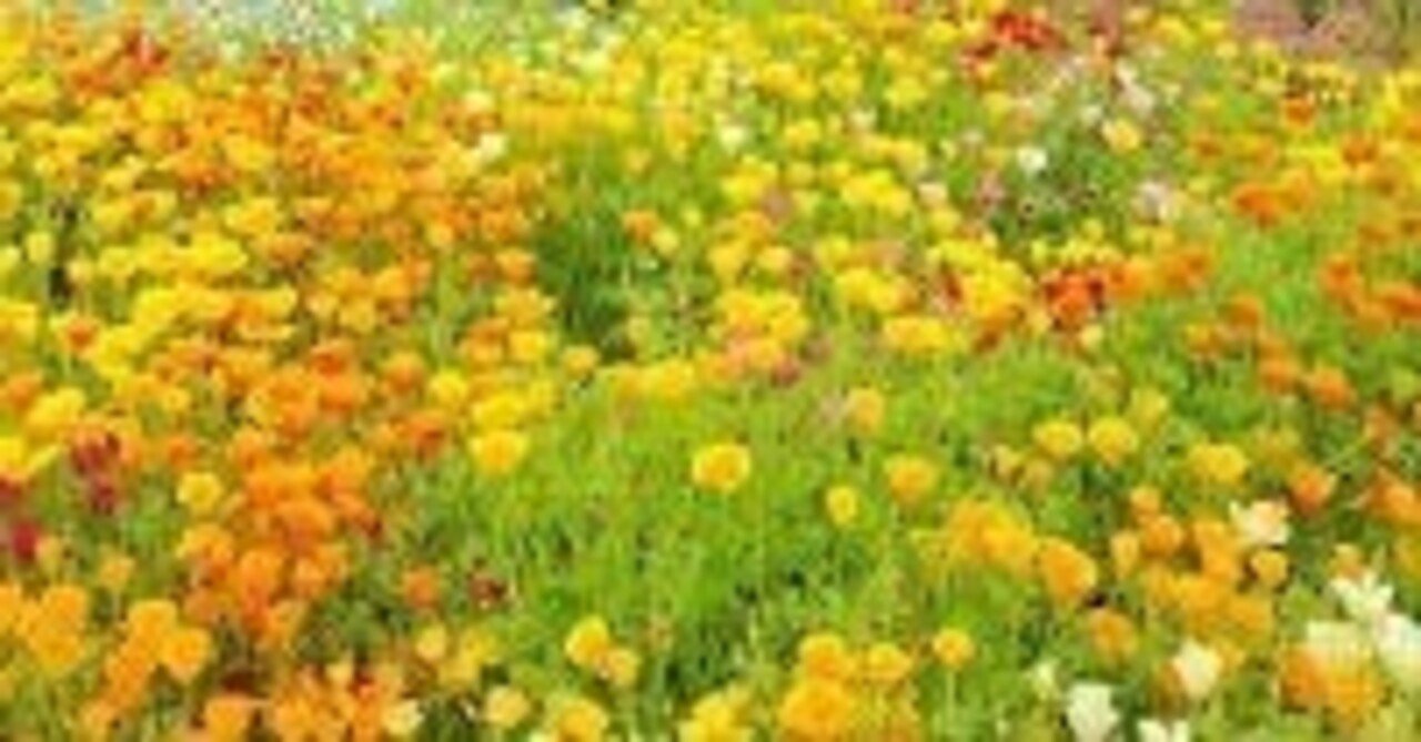 生存権番号の通帳に入金を起こす??]｜vabee