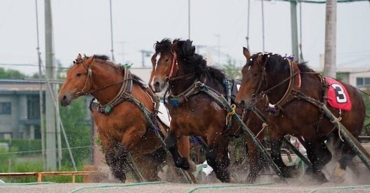 #帯広3R 15:33締切👑👑帯広の一撃は凄いよ👑👑｜ばんえい専門📣極📣