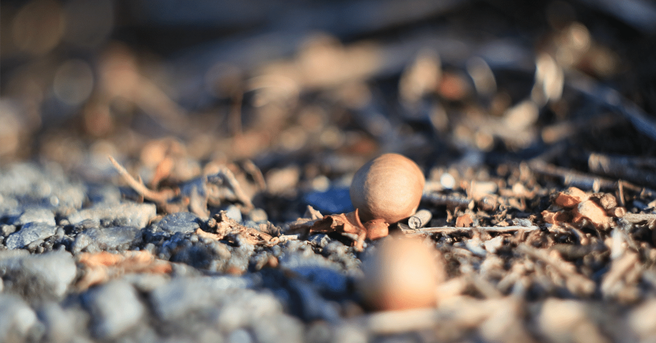 哲学：認識論とは｜hitoshi