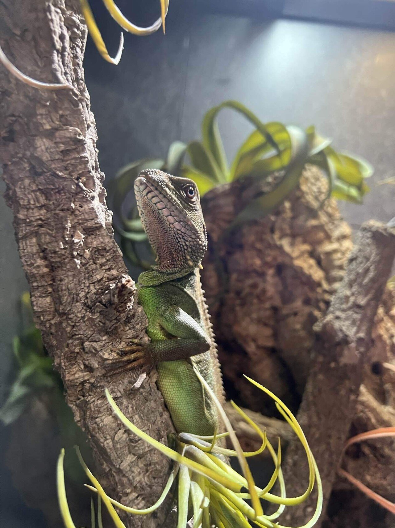 だいひょう｜ Photo&Lifelog｜note