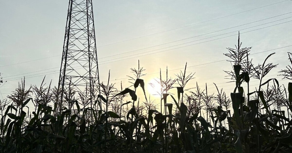 2023/6/6 定年退職を迎えました｜NicePapa 平野 尚志