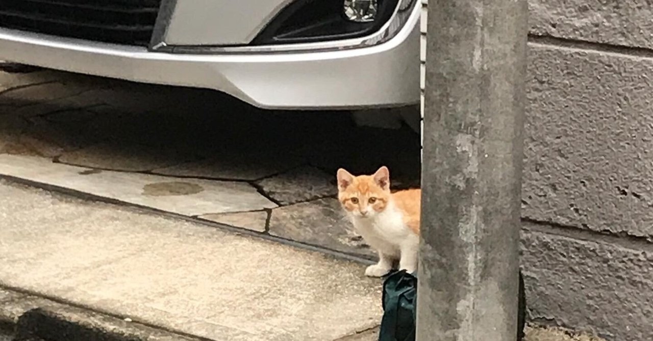 【句作_03】ちいさきもの｜Mk_Hayashi