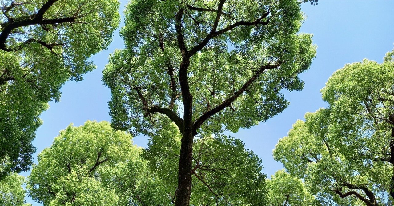 あなたは成長期のど真ん中にいる！【おうし座♉オンリー占い】6月28日水｜【おうし座♉オンリー占い】