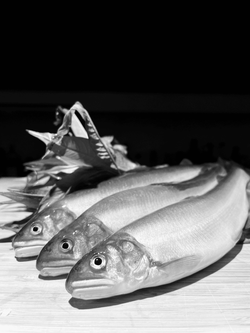 Dining Wada通信17｜シェフ和田