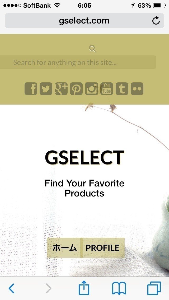 新サイト完成 GSELECT.com ｜GAUCHO（ガウチョ）