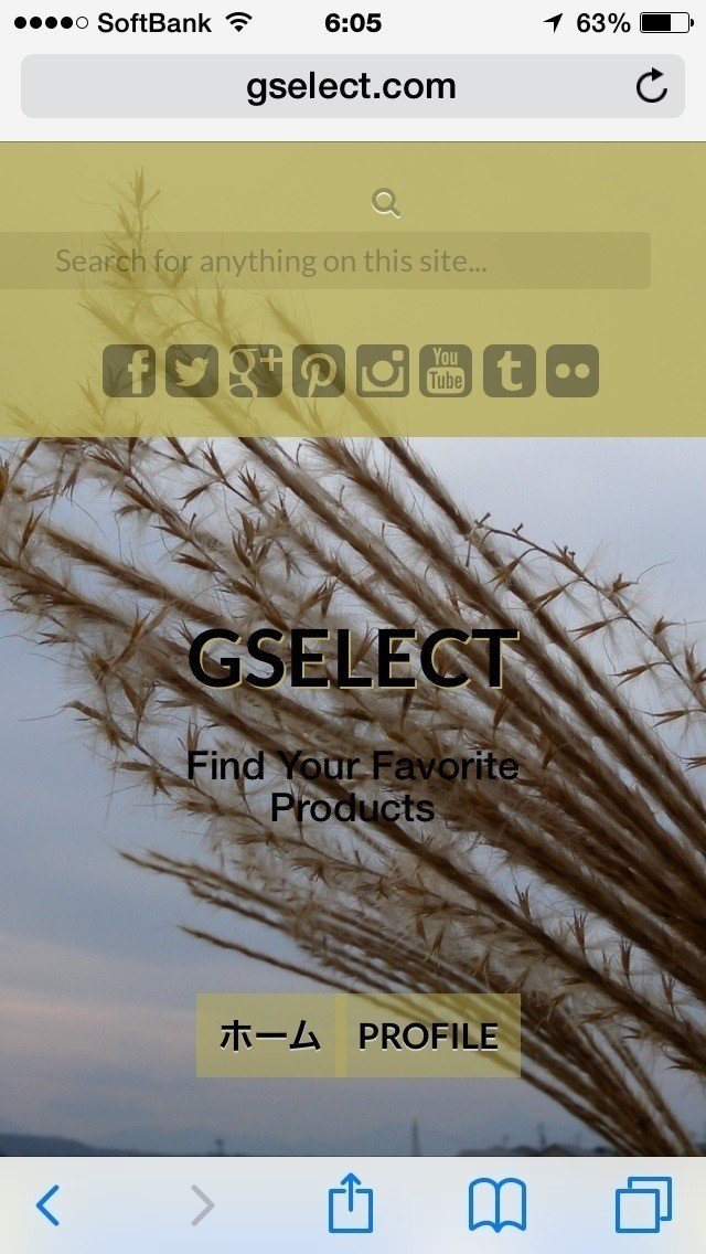 新サイト完成 GSELECT.com ｜GAUCHO（ガウチョ）