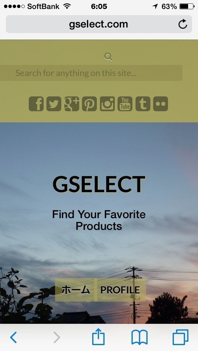 新サイト完成 GSELECT.com ｜GAUCHO（ガウチョ）