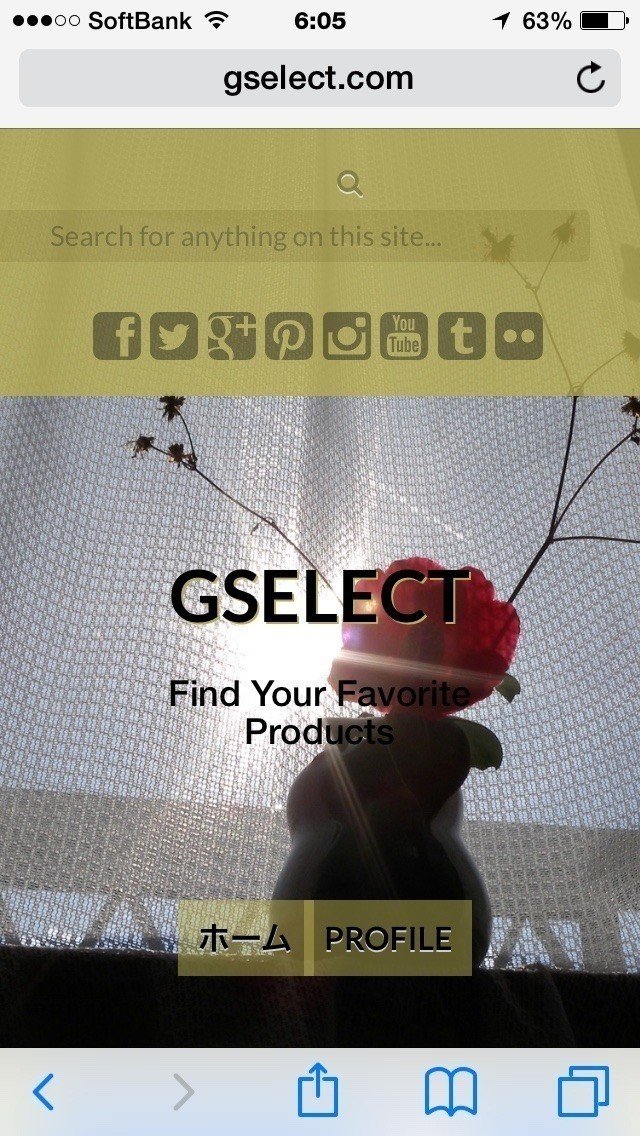 新サイト完成 GSELECT.com ｜GAUCHO（ガウチョ）