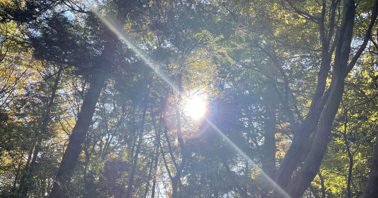 自分を大切にする方法 5｜messenger_sala