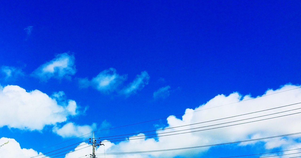 俺たちの夏/他三篇|mtmynnk