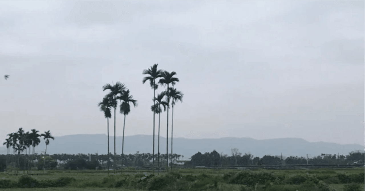 noguchi tappei｜note