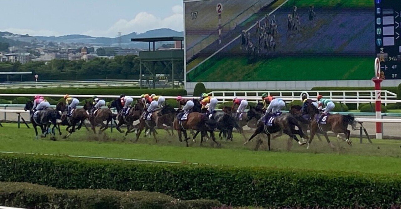 🌈2023年7月1日土 中央競馬🏇🟥福島中京函館競馬場 3場メインレース 🌻枠順確定版 注目馬ピックアップ予想🐴｜🌻ひまわりすずめの