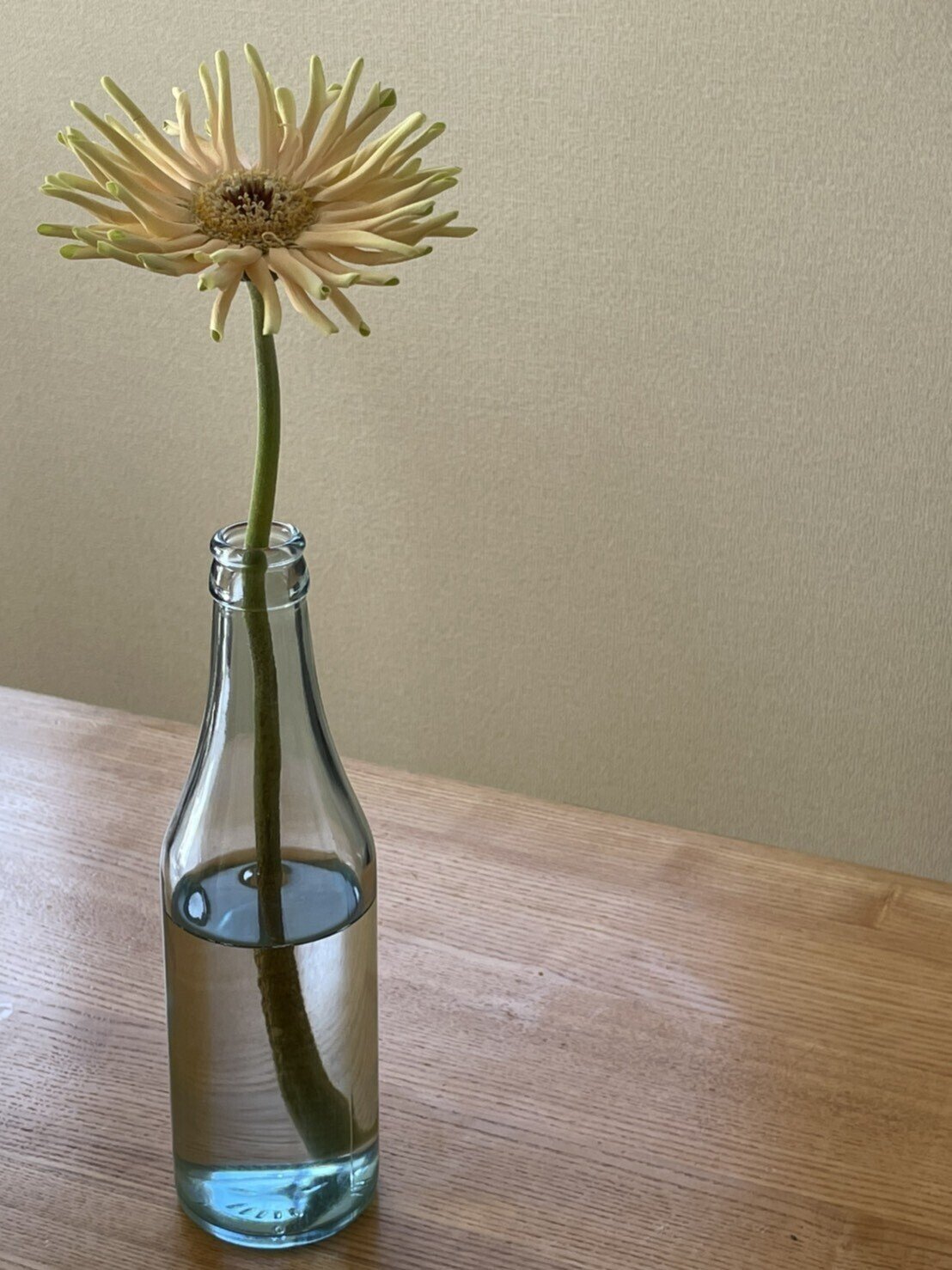 『おはようnote☘️6/29』 おはよう御座います😊 今日も始まりましたね 今日も一日気をつけて、 いってらっしゃい(^O^)／｜Ryosuke Matsusima