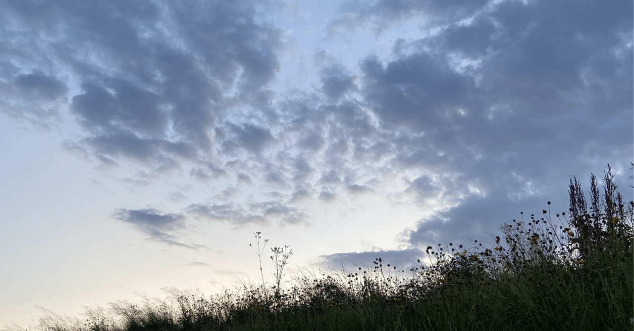 Soi Nurse(ソイナース)｜note