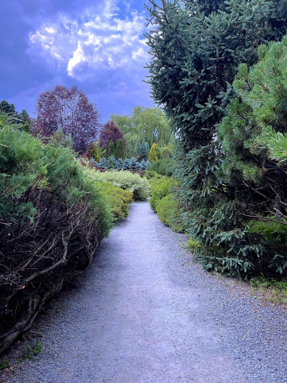 【ふるさとを語る】異国情緒ただよう、真鍋庭園へ行ってきました☺️ その3【北海道・十勝帯広のご紹介】｜ひまじん33ごう🐹|十勝のnoter