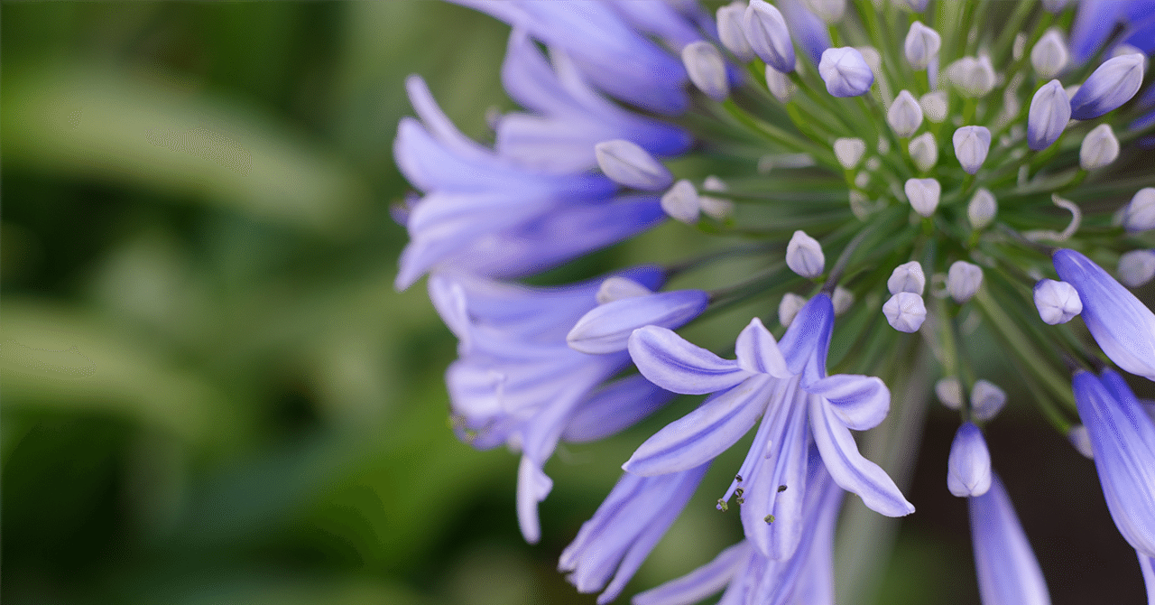 継続する｜大切にしていること｜teaspooon｜Web・EC・HP・SNS等10年以上の経験者がサポート