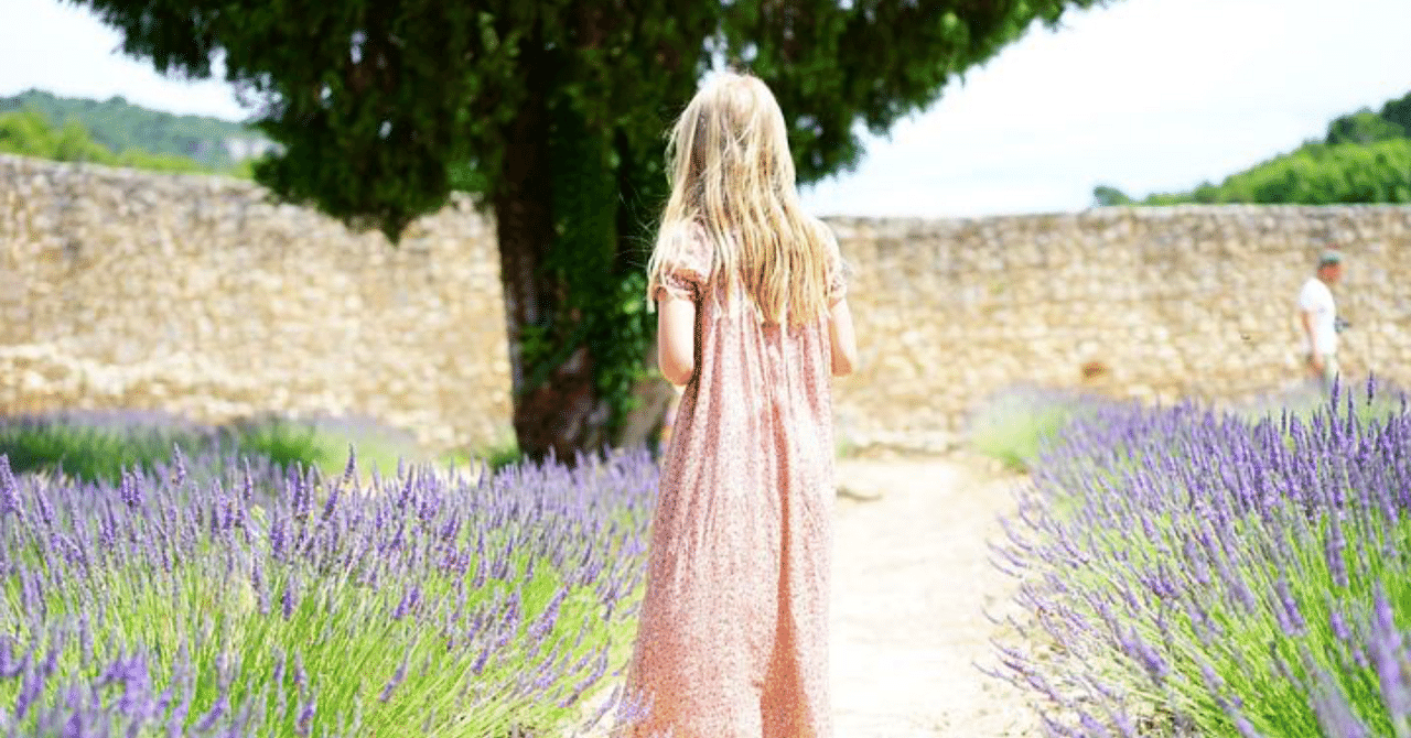 ライフウェーブはMLMとしてどうなのか？｜moco moco