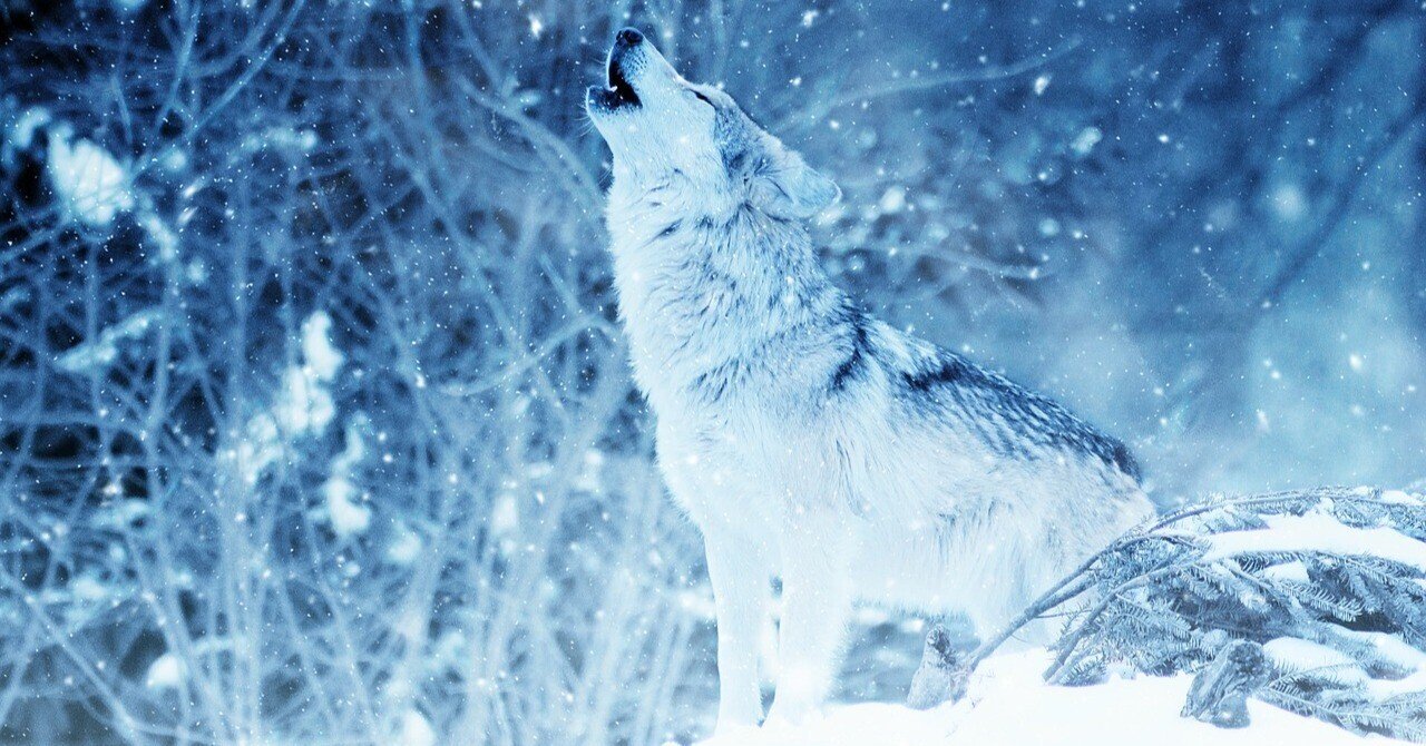 Noble Wolf｜いっちゃん(中山 勇)