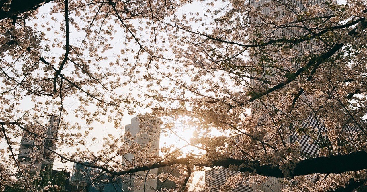 久しぶりの目黒川 2019.04.06 ---1ヶ月ぶり｜ナオ|プレママ&SHEで勉強中｜note