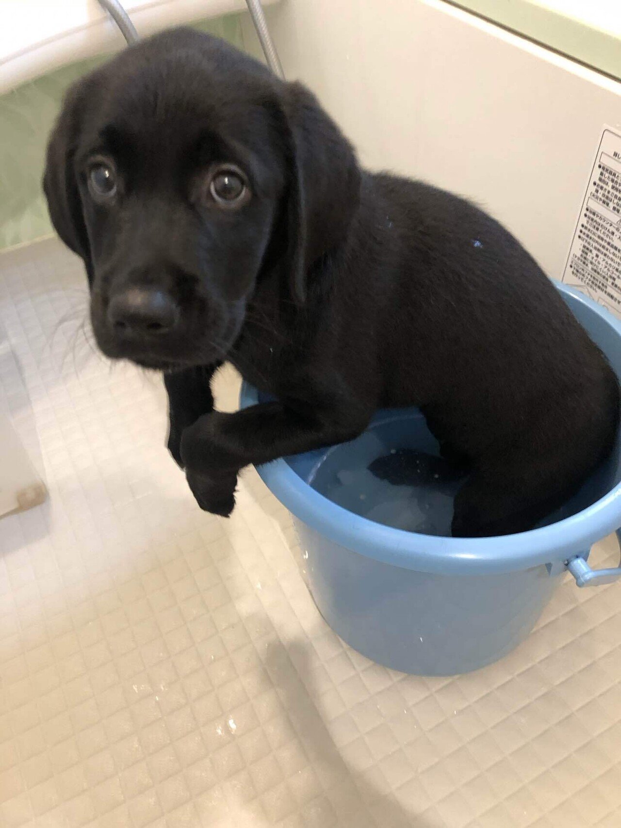 初シャンプー｜ユメカ（Yumeka.yy）