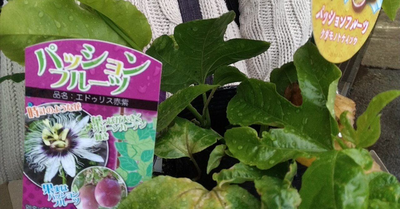 変化が｜🥚RIKO*MAKO🐣