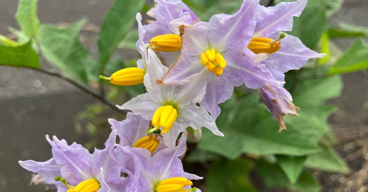 ふと・・・思う｜poporin