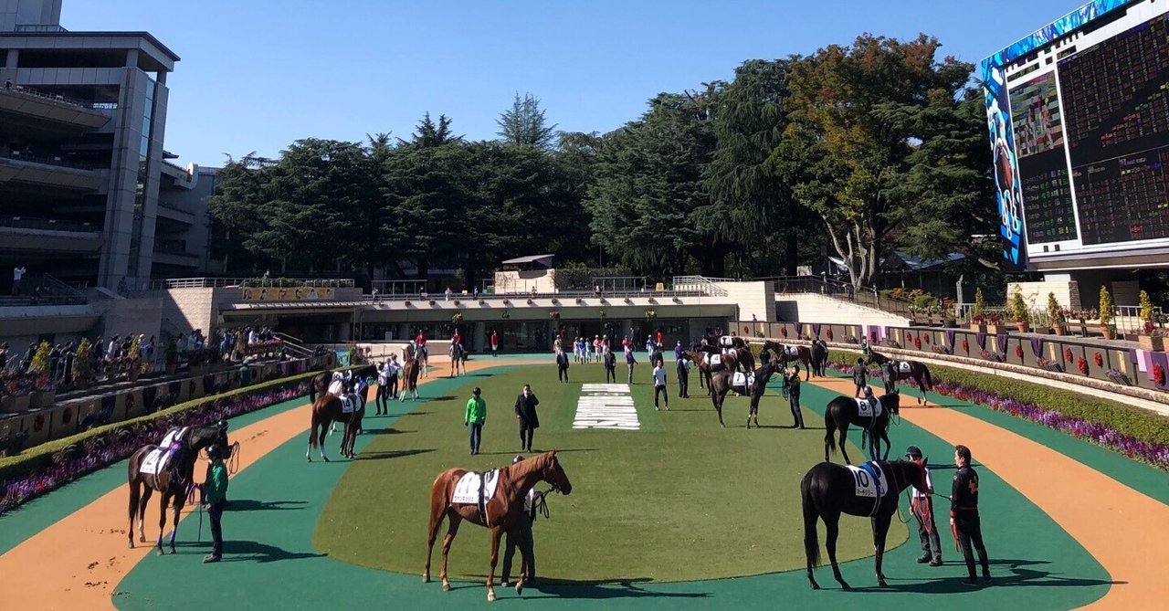 WIN5対象レース 予想印and見解 ※初回半額｜ちでん