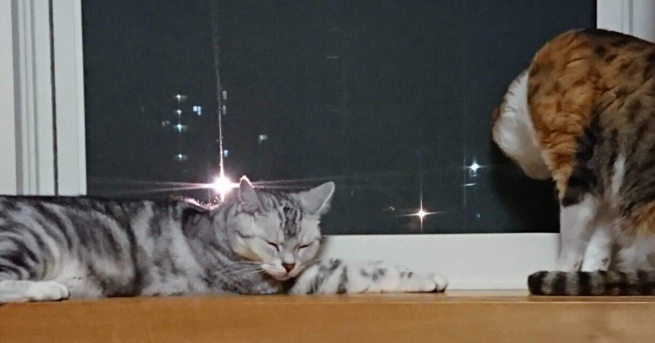 奇跡講座WB実践 最終課題｜(Linp&Ruru)本当の自分を知り、本当の自分として生きる