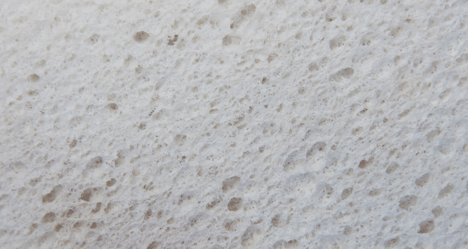 like a sponge｜note