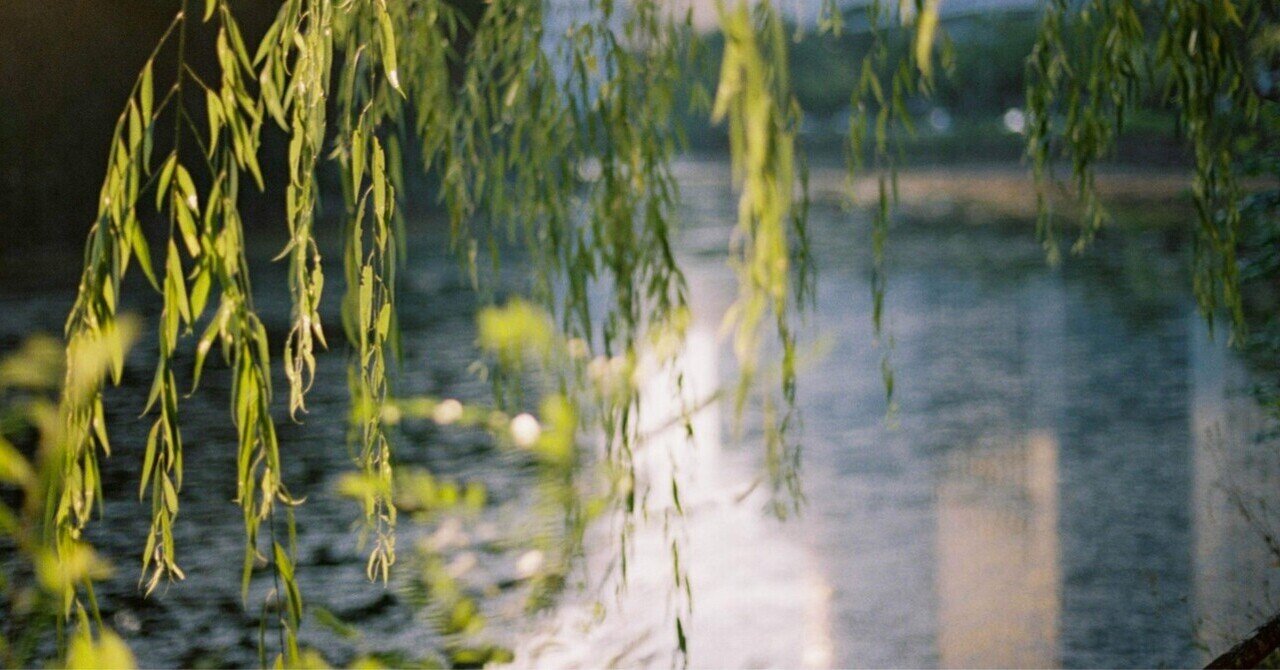 Hello,beautiful world｜k