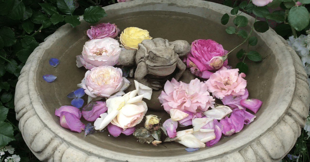 今年の七夕祭りの短冊｜sikuramen