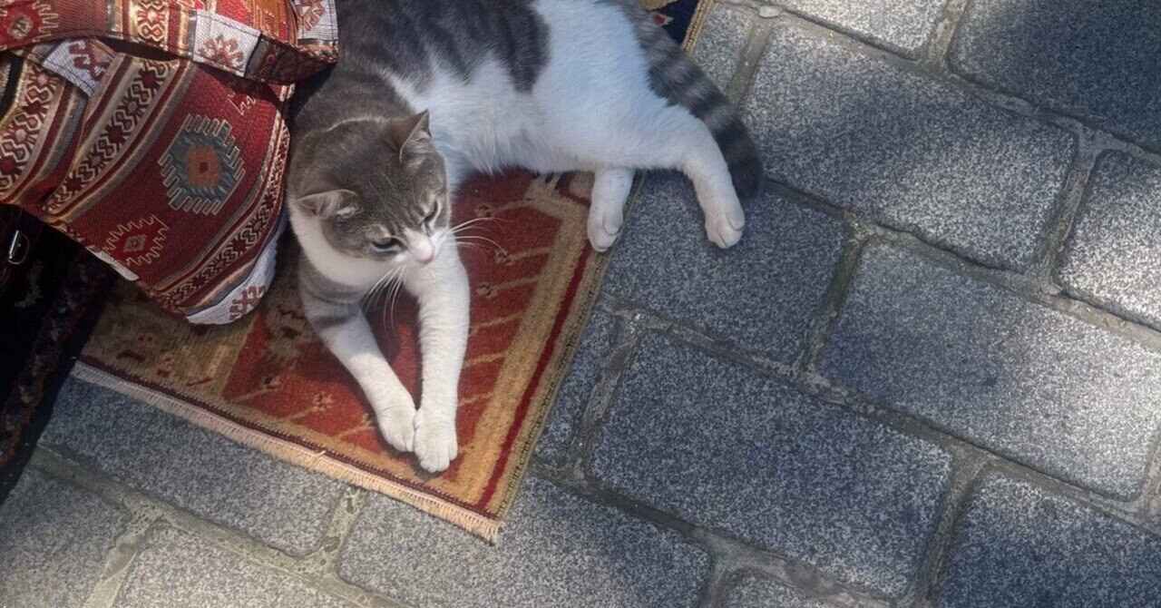 川嶋香苗 ｜ Kanae Kawashima｜note