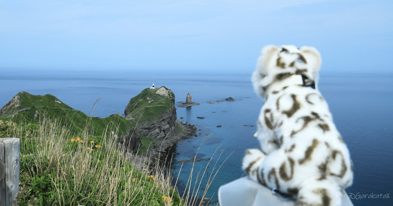 発信することの心地よさ ｜Jun Sasai （笹井淳）